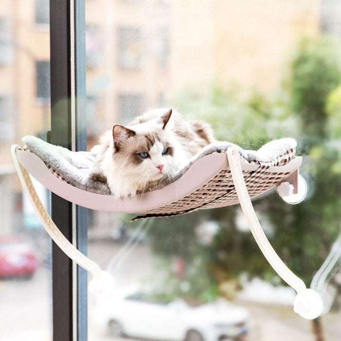 Hamac Fenêtre Pour Chat